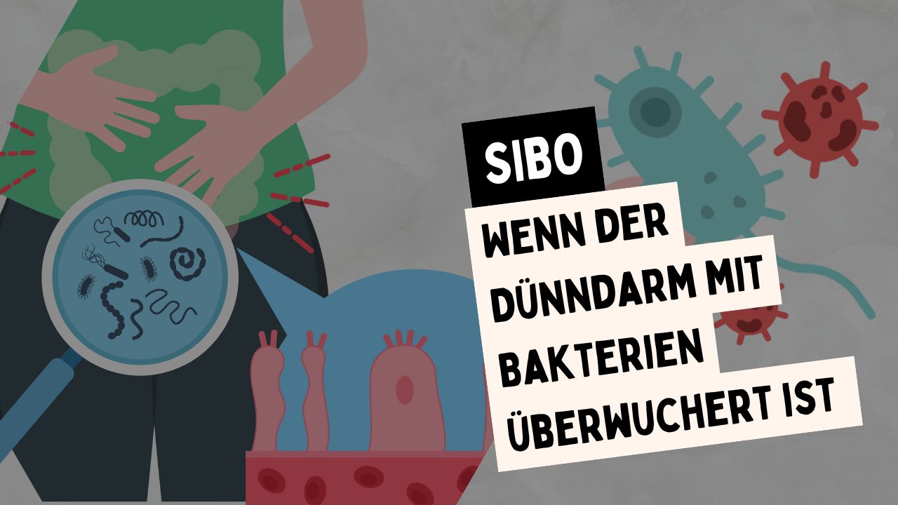 SIBO Ursachen, Symptome & Behandlung